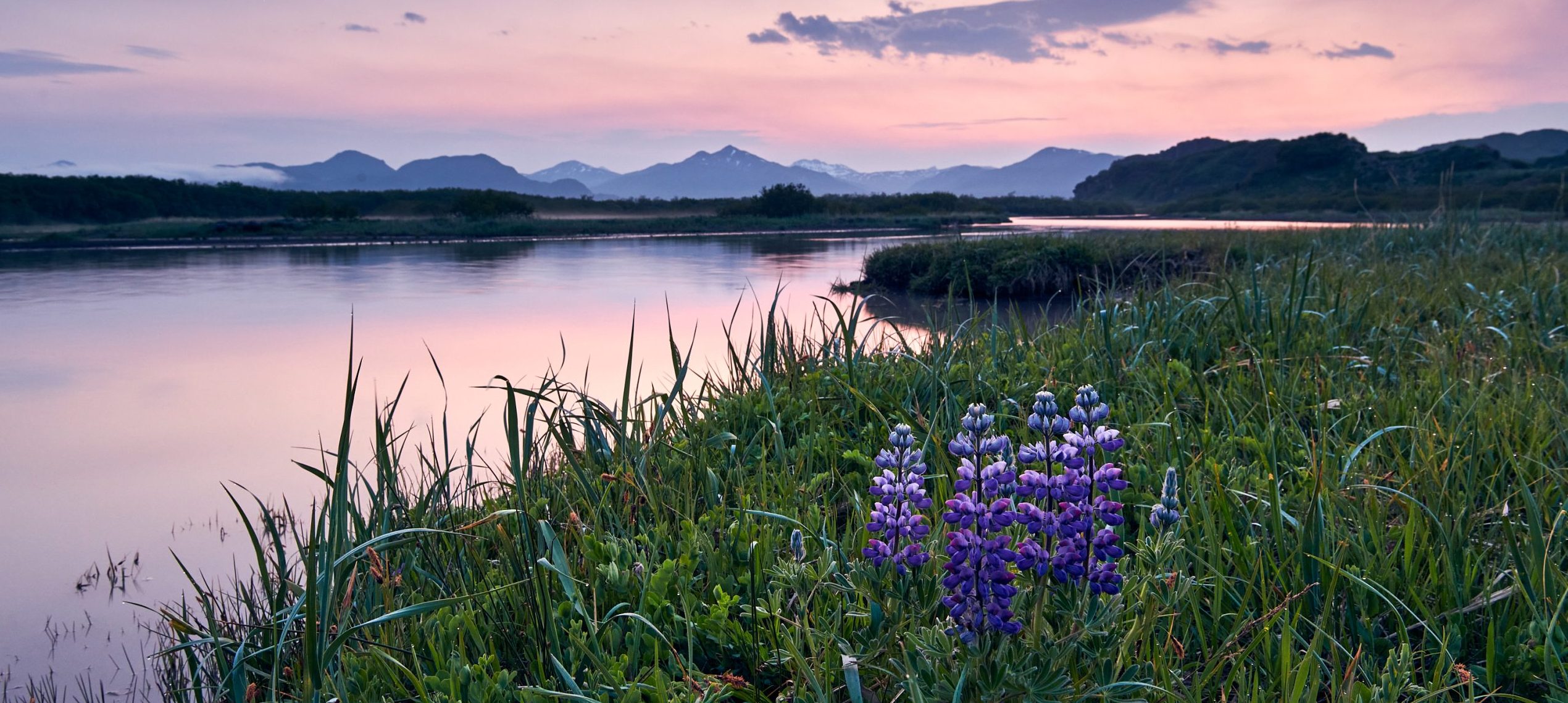 2025 BBNC Shareholder Of The Year Nominations: Due July 18! - Bristol ...